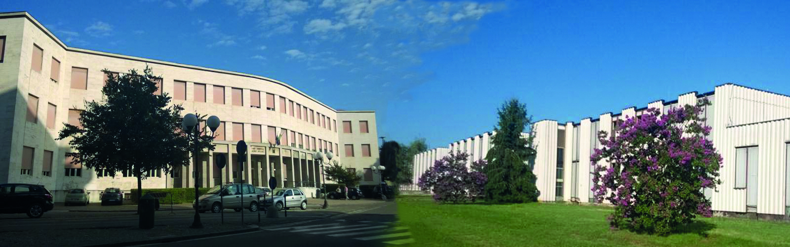 COMPETENZE Decreto pubblicazione graduatorie personale interno – I.I.S ...